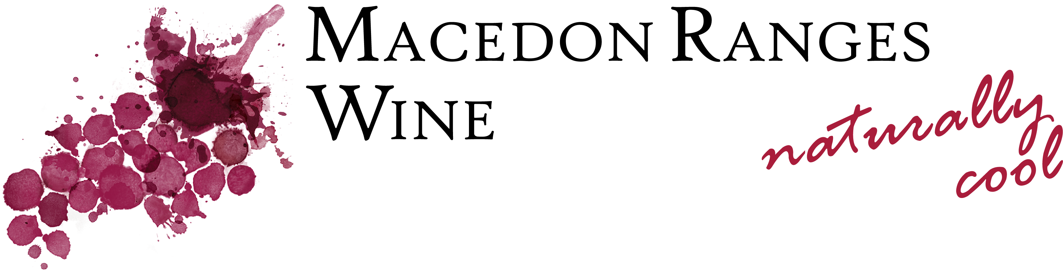 MRVA Logo Gallery