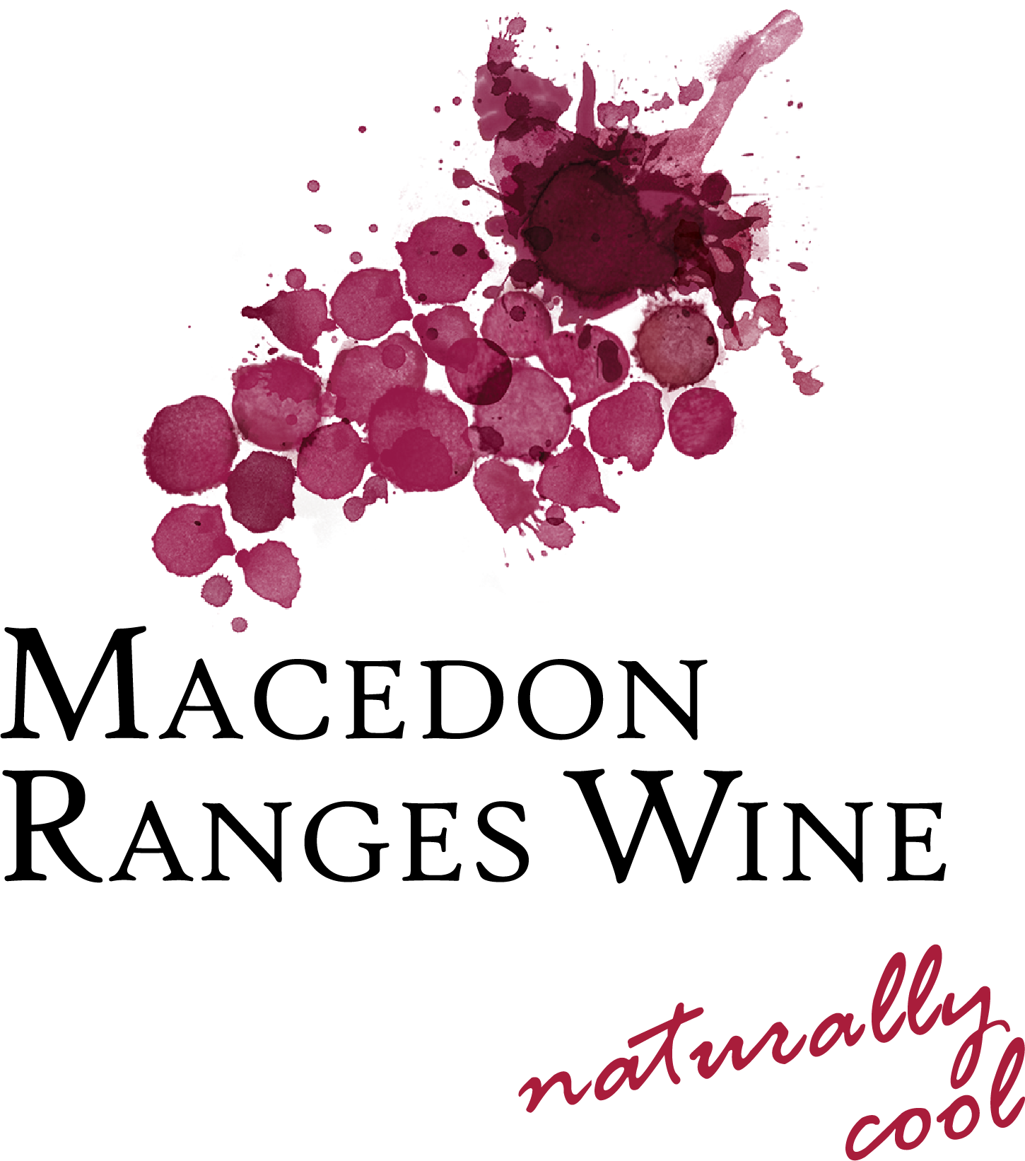 MRVA Logo Gallery