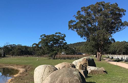 Macedon Ranges Wine | Cool climate wines with a warm welcome
